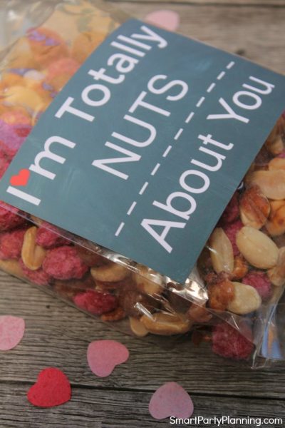 Super Fun Free Valentine "Nuts About You" Printable