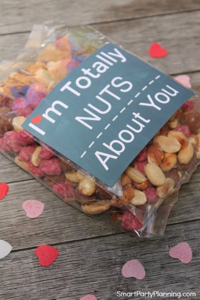 Super Fun Free Valentine "Nuts About You" Printable